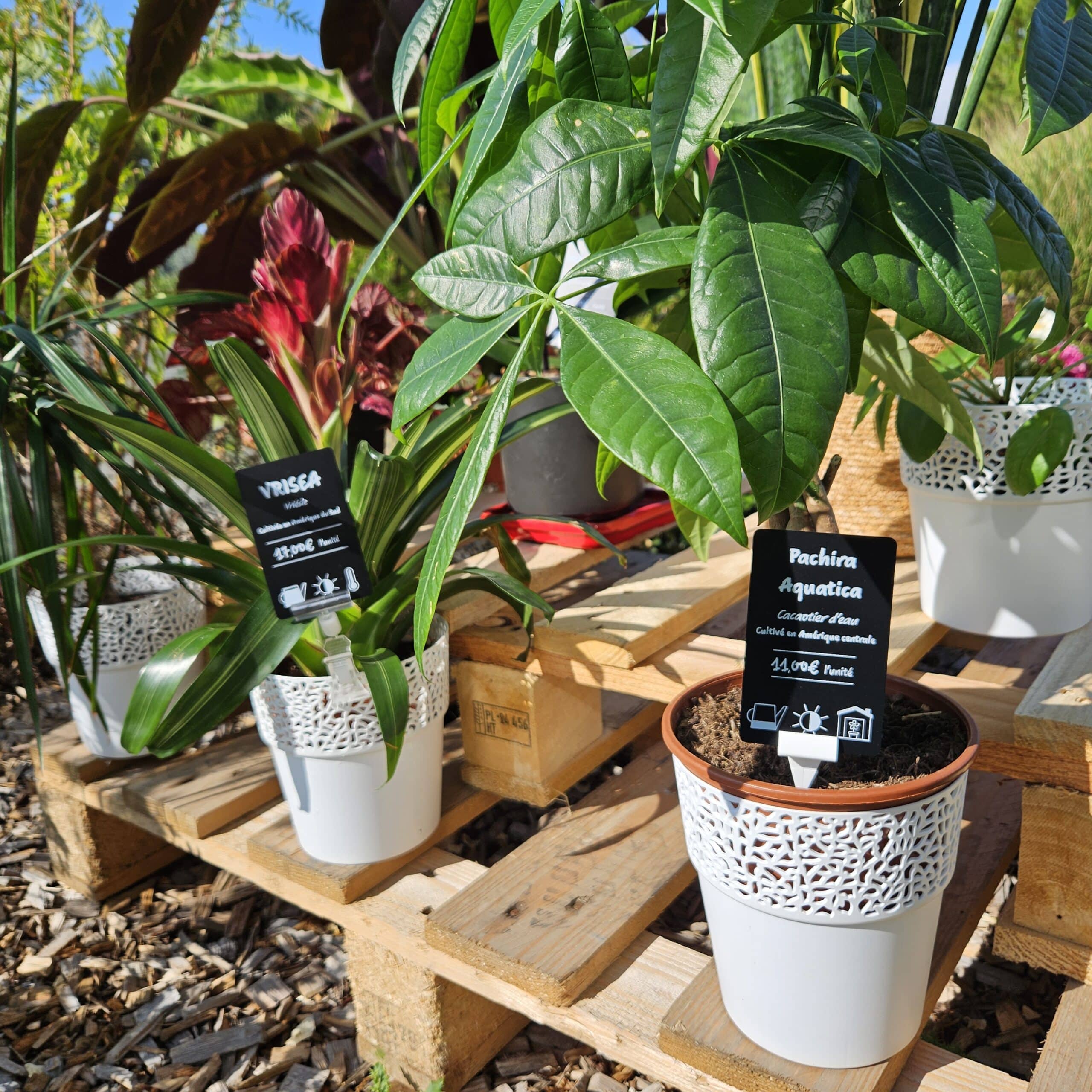 Florist labels | Price label printer